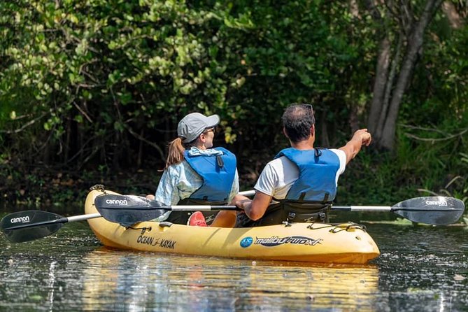 Wild & Scenic Loxahatchee River Guided Tour - Exploring the Loxahatchee River Ecosystem