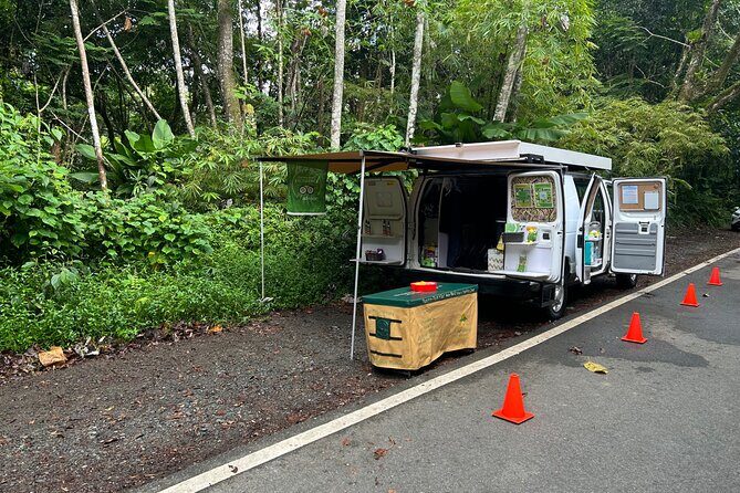 Wild & Scenic Rainforest Nature Walk (Day Time River & Swim) - The Full Experience: A Detailed Breakdown