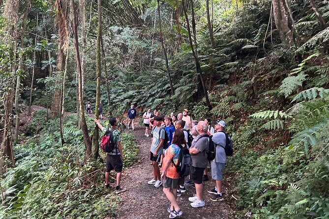 Wild & Scenic Rainforest Nature Walk (Day Time River & Swim) - The Sum Up: Who Will Love This Tour?