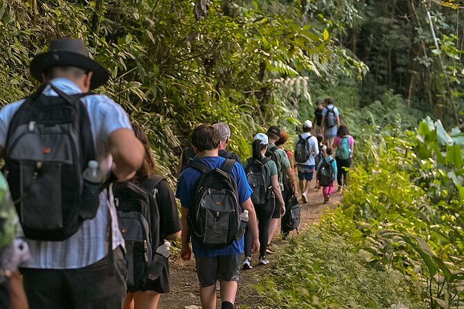 Wild & Scenic Rainforest Nature Walk (Day Time River & Swim) - FAQ