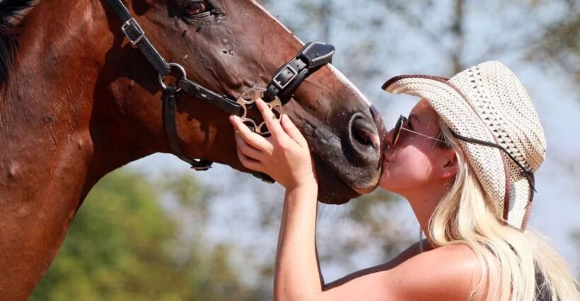 Wild Spring Ranch: Rakovica, Croatia, Horse Riding - Key Points