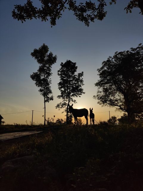 Wild Spring Ranch: Rakovica, Croatia, Horse Riding - Who Will Love This Tour?
