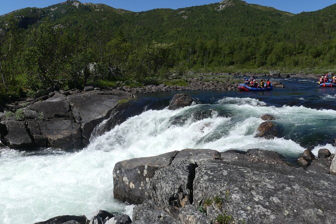 Wild Viking Rafting on Numedalslågen River - level 3 - The Cost and Value