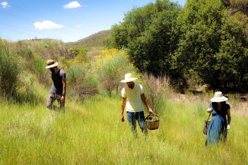 Wild walk: discover the local wild flora - A Closer Look at the Experience
