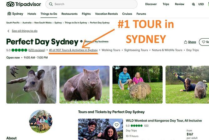 WILD Wombat and Kangaroo Day Tour, All Inclusive - An In-Depth Look at the Tour