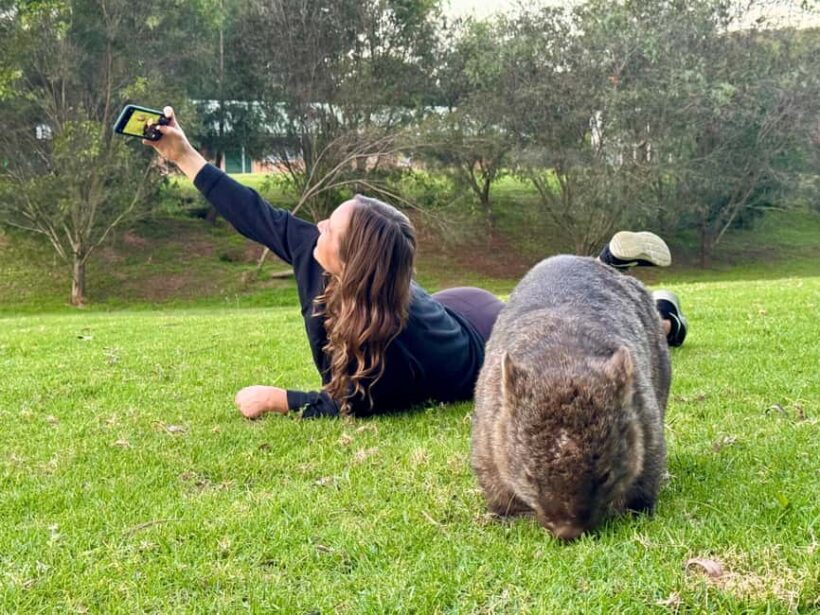 WILD Wombats and Kangaroo Experience, All Inclusive, Sydney - Introduction