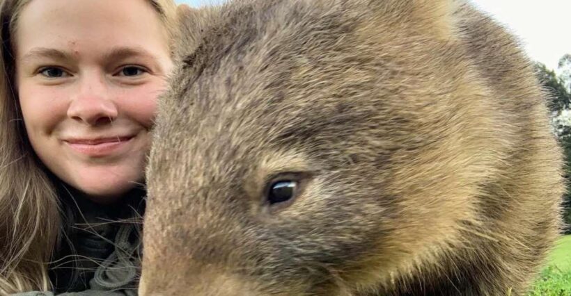 WILD Wombats and Kangaroo Experience, All Inclusive, Sydney - The Itinerary in Detail