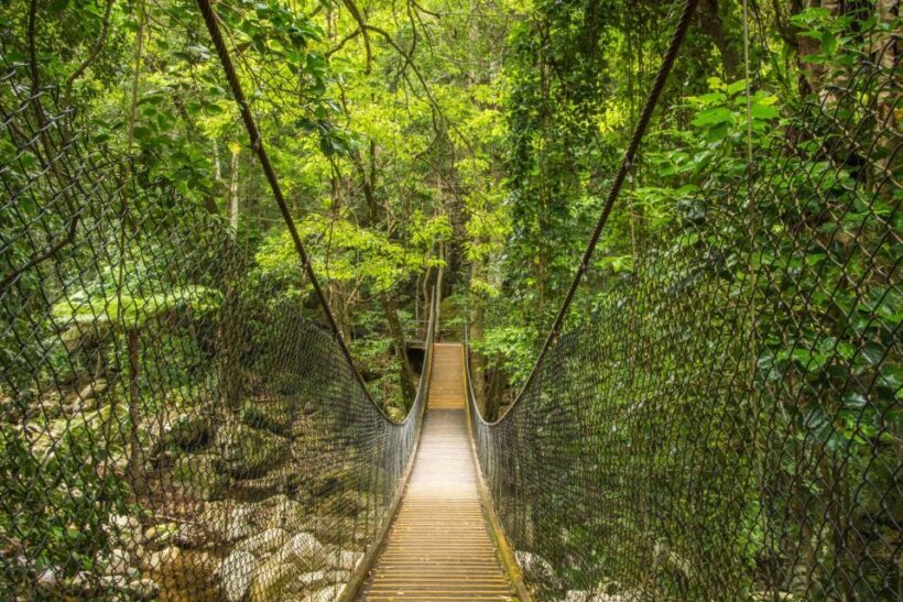 WILD Wombats and Kangaroo Experience, All Inclusive, Sydney - The Sum Up