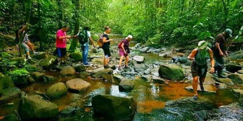 Wild Wonders (8 Days) - Day 7: Turtle Conservation and Beach Relaxation