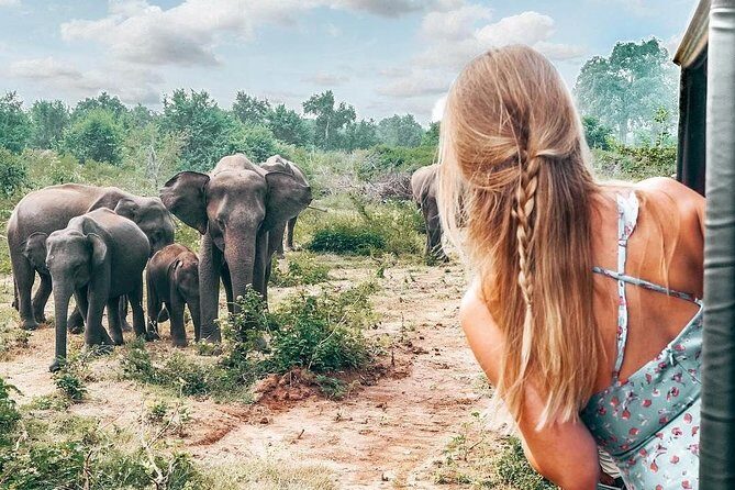Wild Wonders Of Sri Lanka | 7 Days - Day 4: Yala National Park Safari