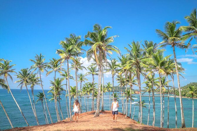 Wild Wonders Of Sri Lanka | 7 Days - Day 5: Bird Watching at Kalamatiya Sanctuary