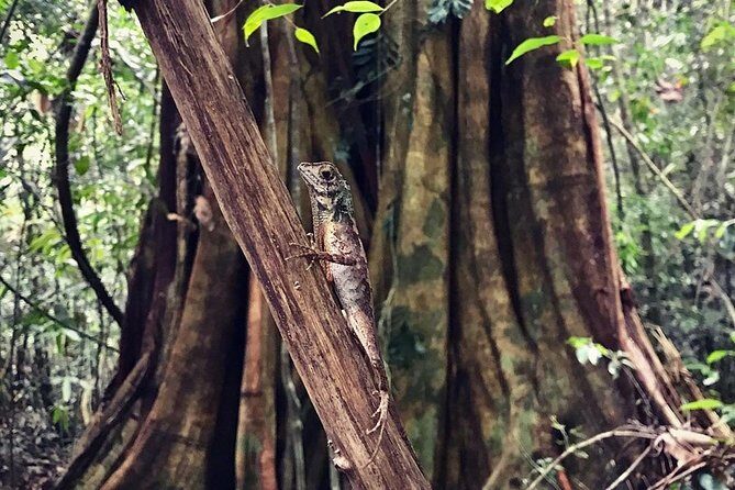 Wild Wonders Of Sri Lanka | 7 Days - Day 6: Marine Life and Beach Relaxation at Mirissa