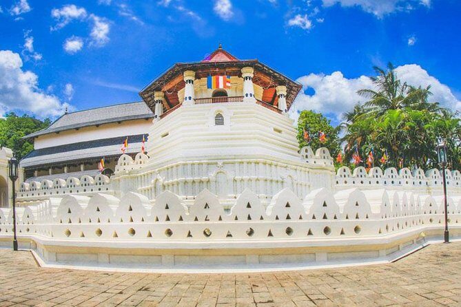 Wild Wonders Of Sri Lanka | 7 Days - Day 7: Departure