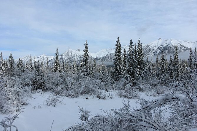 Wilderness and Wildlife Hiking Tour - 3hr Hike - FAQ