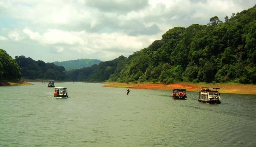 Wilderness & Culture: One Day Tour of Thekkady with Jeep !! - Who Will Enjoy This Tour?