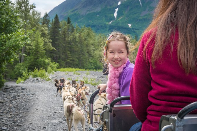 Wilderness Dog Sled Ride and Tour in Seward - Who Should Consider This Tour?