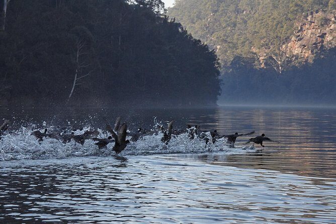 Wilderness kayak adventure with gourmet food - Pricing and Value