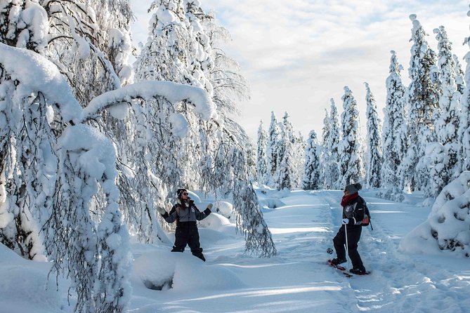 Wilderness Snowshoe Adventure - Taking in the Winter Wonderland