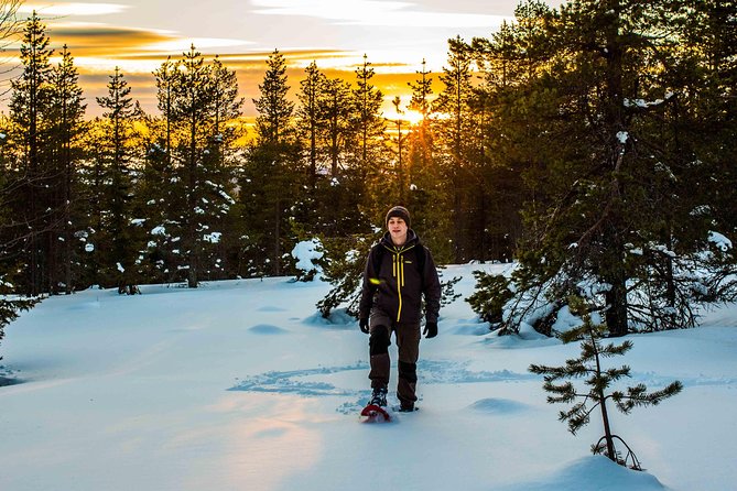 Wilderness Snowshoe Adventure - Discovering the Local Wildlife