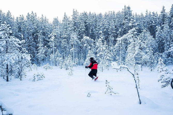 Wilderness Snowshoe Adventure - Booking and Logistics