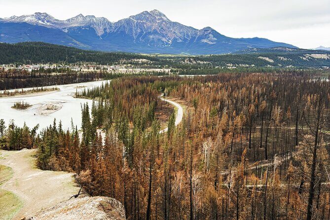 Wildfire Peak Nic - Key Points