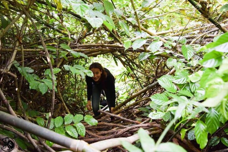 Wildlife and Jungle Adventure - 01Day in Phong Nha - Trekking Through the Jungle