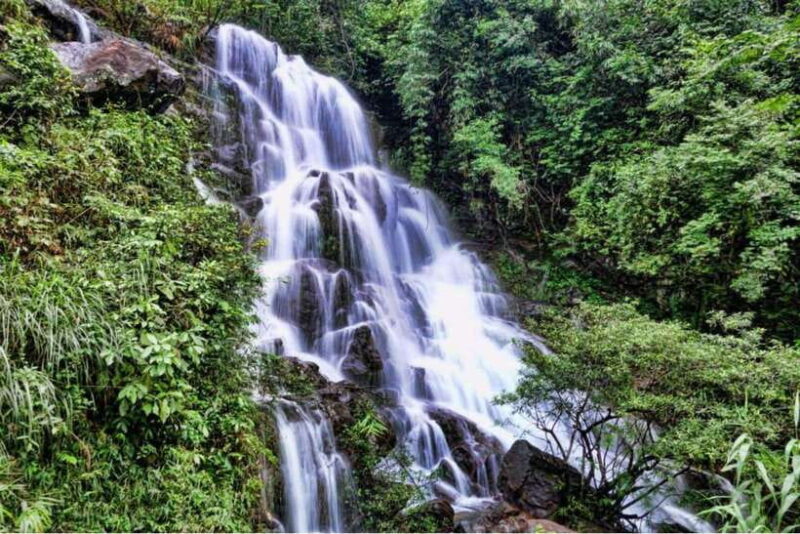 Wildlife and Jungle Adventure - 01Day in Phong Nha - What to Expect and Who It’s For