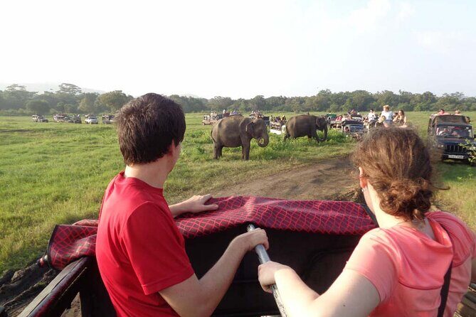 Wildlife and Nature Tour (18 Days , 17 Nights) - An In-Depth Look at the Experience