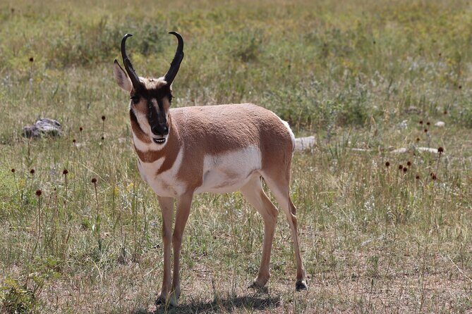 Wildlife Biologists Field Expedition: The Badlands Uncovered - Final Thoughts