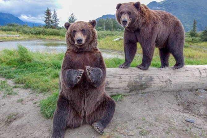 Wildlife Center with Lunch & Local Beer Sampling - Winter&Summer - Key Points