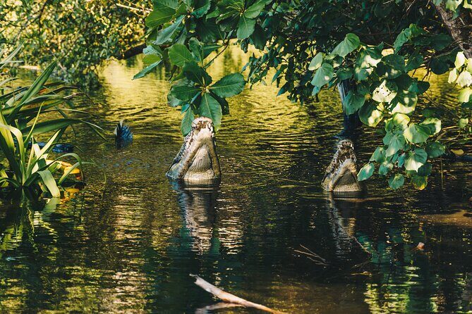 Wildlife Eco Tour on the coast of Oaxaca. - How This Tour Offers Value