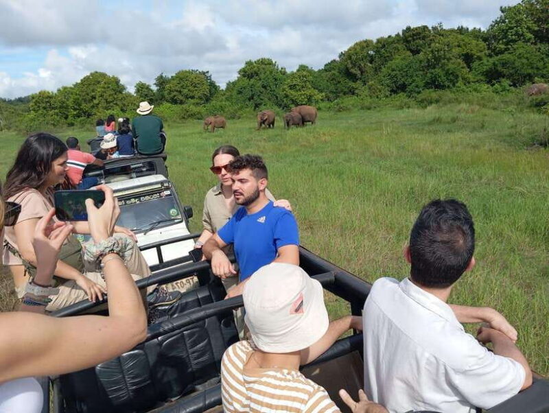 Wildlife experience at Minneriya National Park Safari - The Practical Side: What’s Included and What’s Not