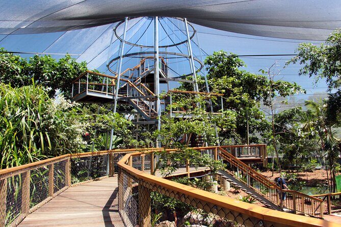 Wildlife Habitat Port Douglas - The Experience: A Deep Dive into the Wildlife Habitat