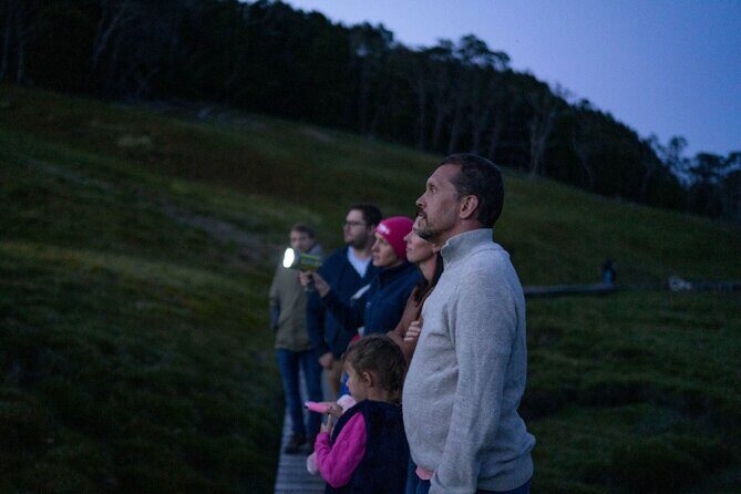 Wildlife Night Spotting at Cradle Mountain - An Overview of the Wildlife Night Spotting Tour
