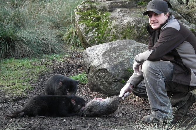 Wildlife Night Spotting at Cradle Mountain - Who Will Love This Tour?