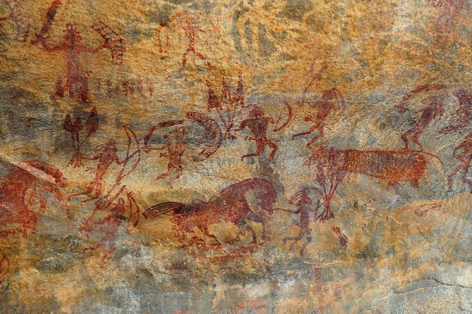 Wildlife of Central India - Final Thoughts