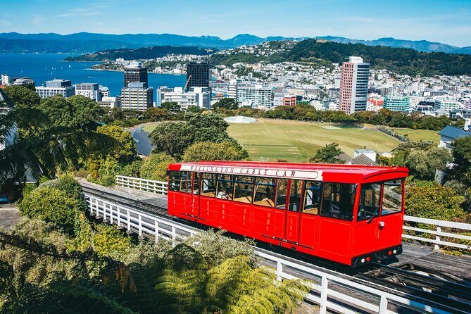 Wildlife Private Tour from Wellington Cruise Port - Introduction: A Look at Wellington’s Wildlife and Coastal Charm