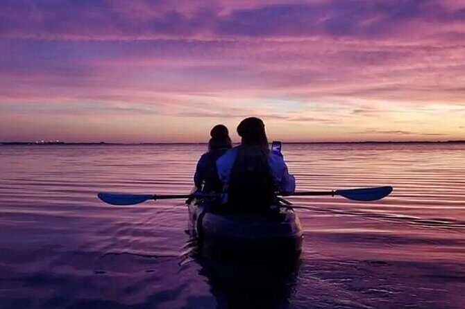 Wildlife Refuge Bio Comb Jelly Sunset Kayak or Paddleboard Tour! - The value of this experience