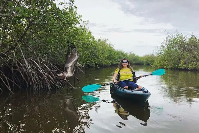 Wildlife Refuge Bio Comb Jelly Sunset Kayak or Paddleboard Tour! - The Sum Up