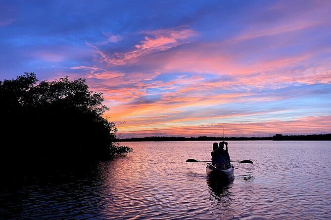 Wildlife Refuge Dolphin, Manatee & Mangrove Kayak or Paddleboarding Tour! - Exploring the Experience: What to Expect
