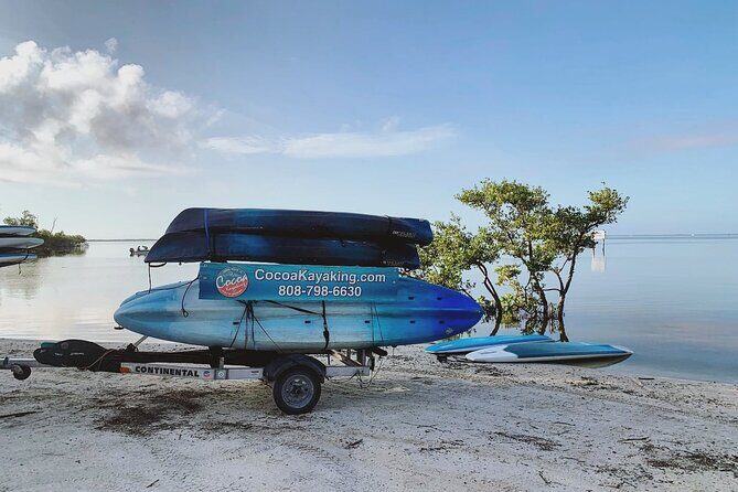 Wildlife Refuge Dolphin, Manatee & Mangrove Kayak or Paddleboarding Tour! - Is This Tour Worth It?