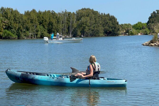 Wildlife Refuge Dolphin, Manatee & Mangrove Kayak or Paddleboarding Tour! - The Sum Up