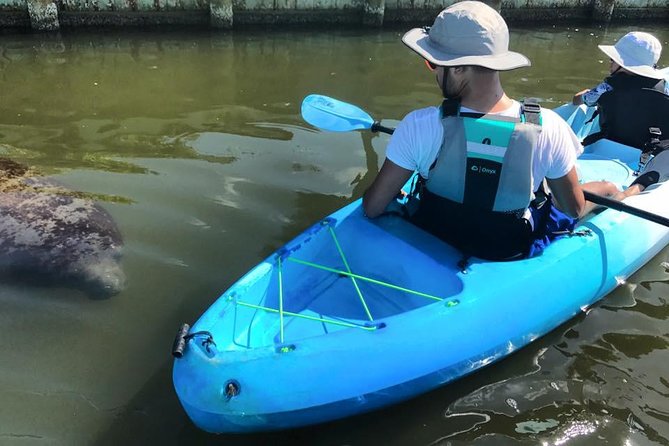 Wildlife Refuge Manatee, Dolphin & Mangrove Kayak or Paddleboarding Tour! - The Itinerary: What to Expect