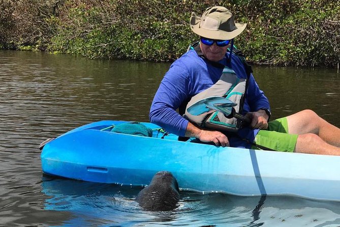 Wildlife Refuge Manatee, Dolphin & Mangrove Kayak or Paddleboarding Tour! - Equipment and Comfort: What’s Included