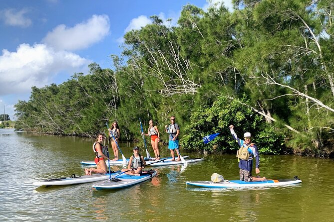Wildlife Refuge Manatee, Dolphin & Mangrove Kayak or Paddleboarding Tour! - Accessibility and Practical Details
