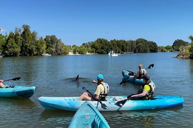 Wildlife Refuge Sunset Dolphin, Manatee & Mangrove Kayak or Paddleboarding Tour! - Evaluating the Value