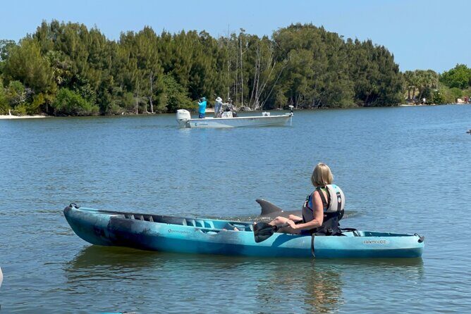 Wildlife Refuge Sunset Dolphin, Manatee & Mangrove Kayak or Paddleboarding Tour! - The Experience in Context