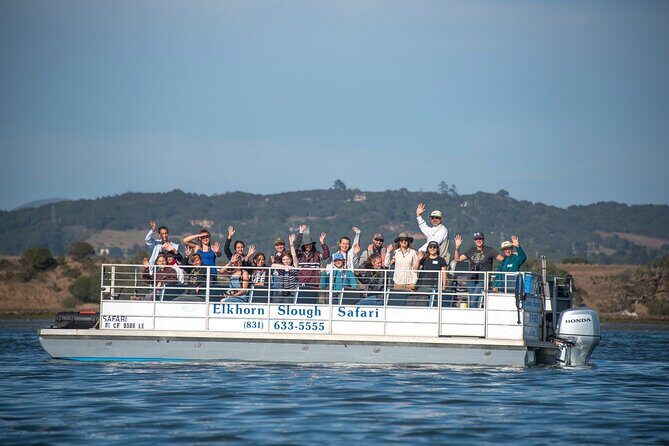 Wildlife Safari Boat Tour in Scenic Monterey Bay Wetland - Scenic Monterey Bay Wildlife Safari Boat Tour: An In-Depth Review