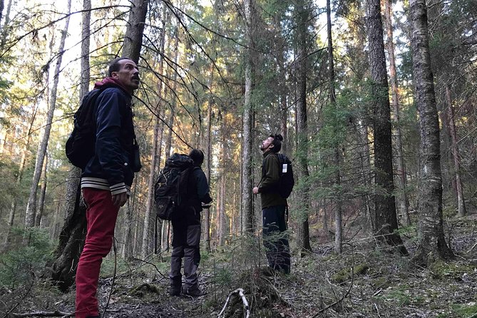 Wildlife Safari Small-Group in Stockholm - Wildlife Sightings and Nature Immersion