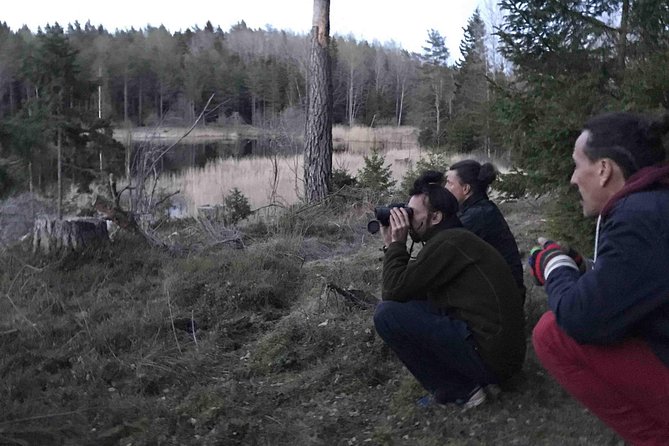 Wildlife Safari Small-Group in Stockholm - Traveler Feedback and Experiences